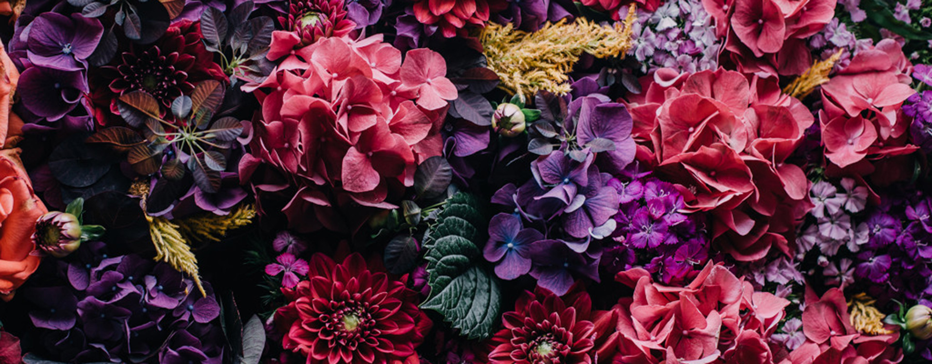 Bloom Consulting